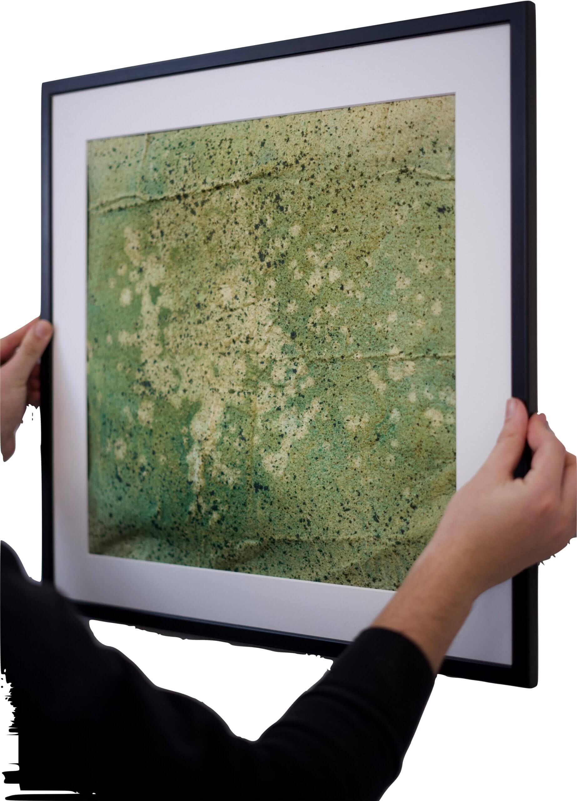 Algen-Dry - Solaga - Besseres Klima durch Algenwand